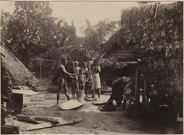 ಪ್ರಾಚೀನ ಔಷಧ