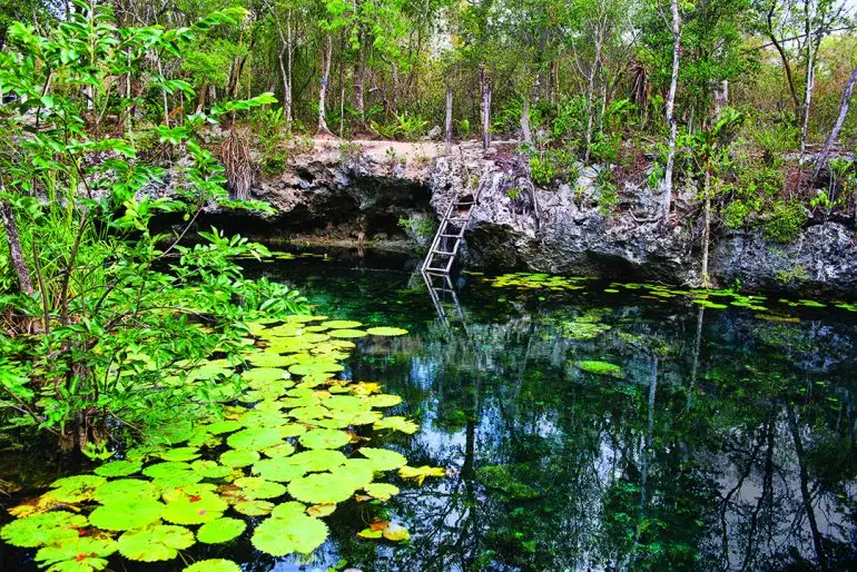 Matsatsi a mararo a phethahetseng ho Riviera Maya