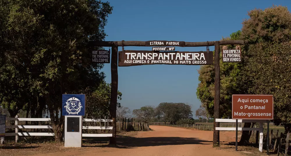 Anza safari katika Pantanal ya Brazil 4147_2