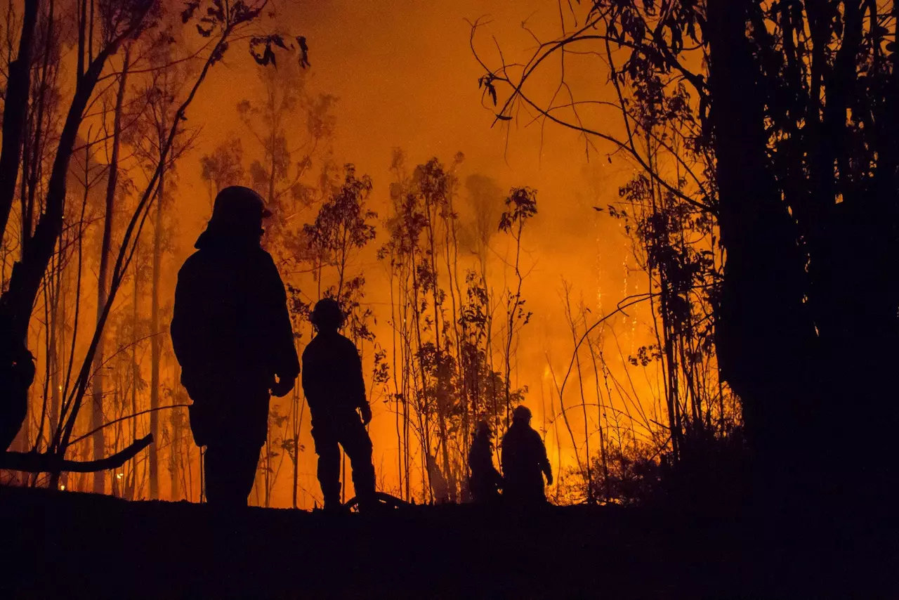 klimatförändringarnas utrotning mänskligheten