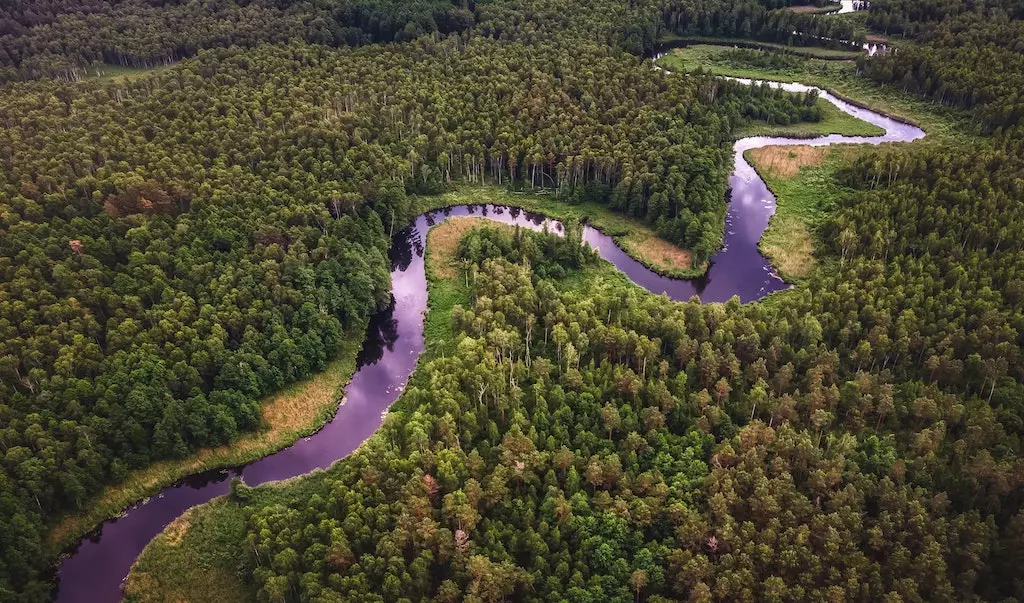 pontes amazônicas