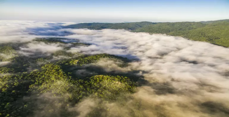 Reserva de la Biosfera El cel, Tamaulipas