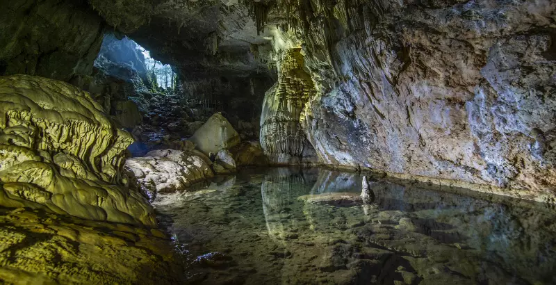 Reserva de la Biosfera El cel, Tamaulipas