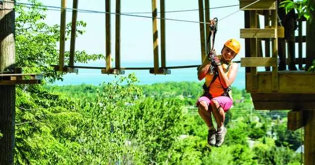 Treetop Adventure