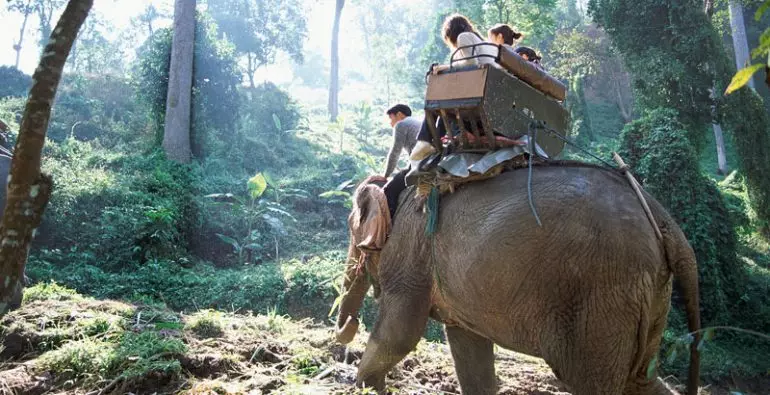 tembo Thailand