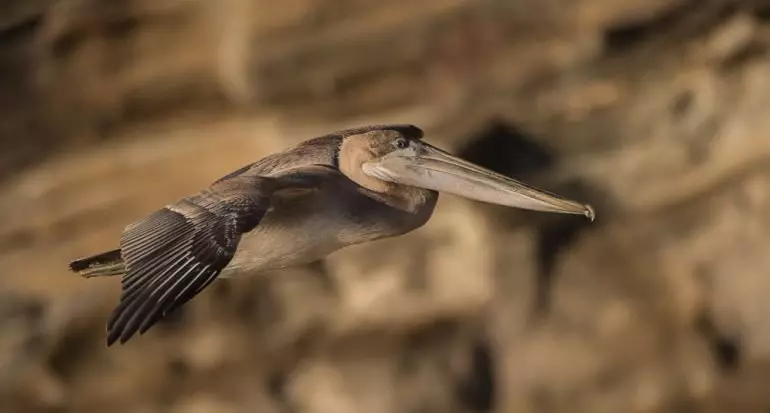 Lá 3 sna hOileáin Galapagos