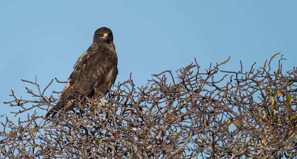 Lá 3 sna hOileáin Galapagos 4638_2