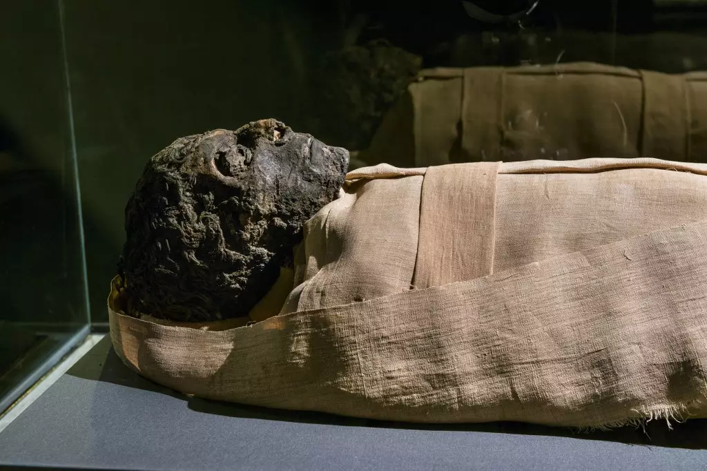 mummies arin ogoro