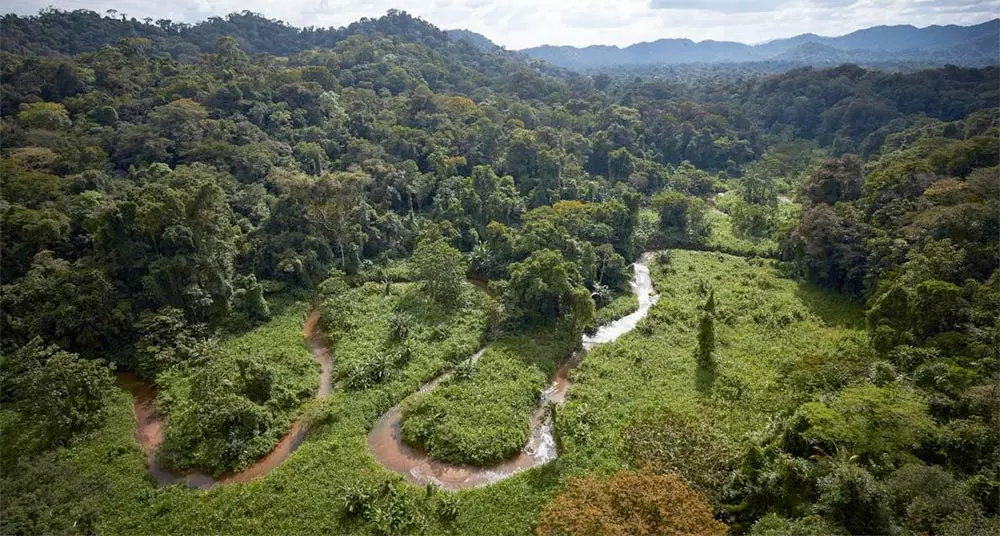 Exklusivt: De upptäcker en förlorad stad i Honduras djungel 4855_3