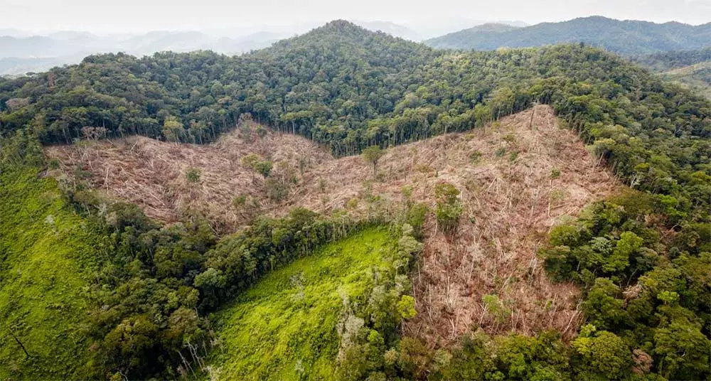 Exklusivt: De upptäcker en förlorad stad i Honduras djungel 4855_6