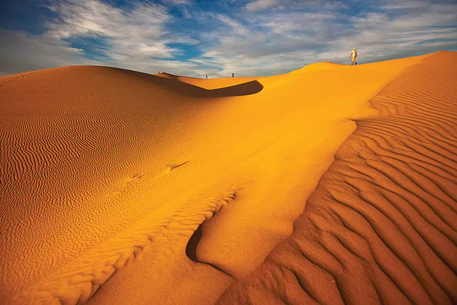 Coñece o deserto máis grande de América do Norte 4859_7