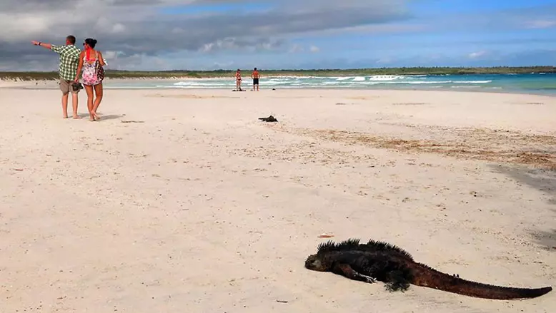 Galapagos ûnder wetter 4961_5