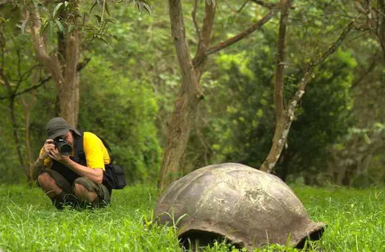 Galapagos ûnder wetter 4961_9