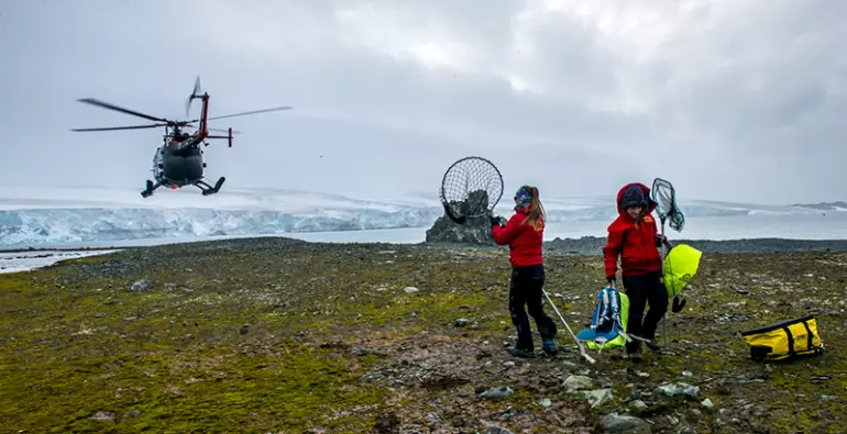 moss antarctica