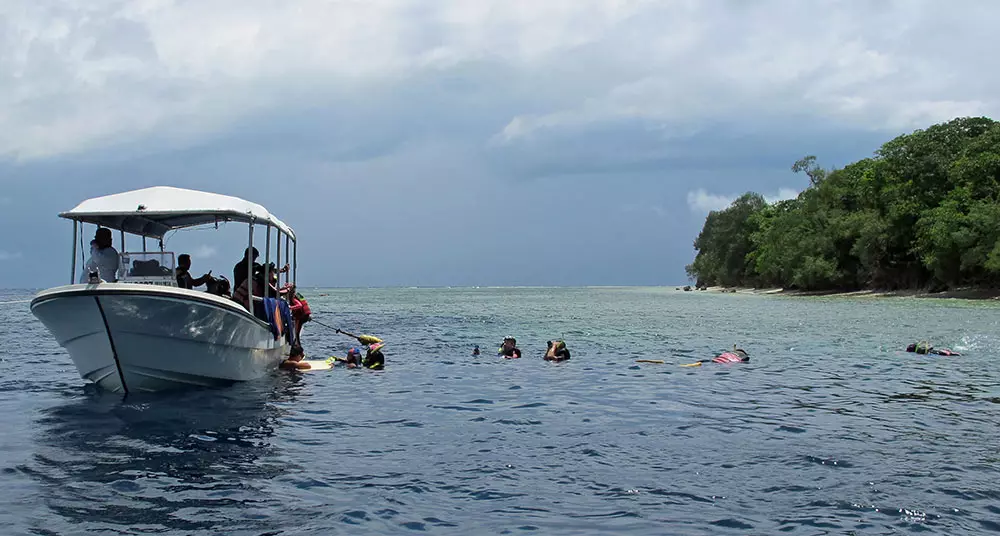 I-Palau: Amakhorali nezinhlanzi ezinemibala eminingi 5347_2