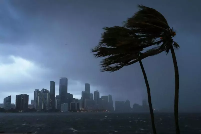 হারিকেন ইরমা: ফ্লোরিডা চিড়িয়াখানা কীভাবে প্রাণীদের রক্ষা করেছে 5490_5