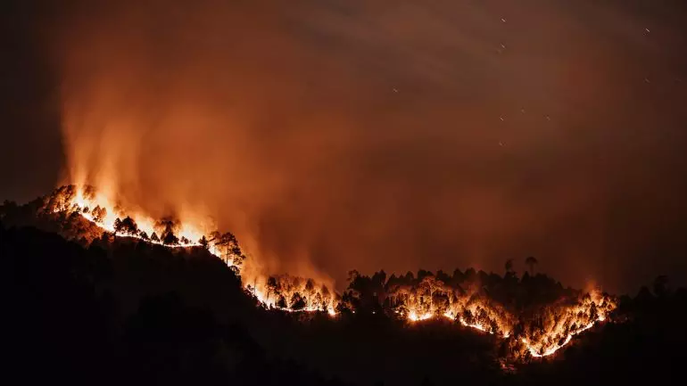 incendi boschivi preistorici