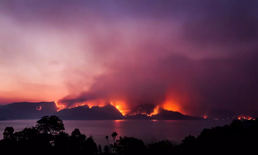 incendi boschivi preistorici