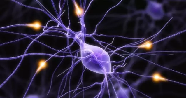 neural prosthetic neurons