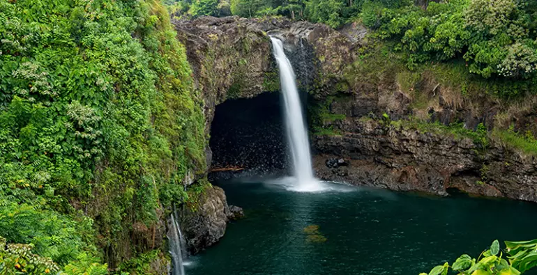 ausgestuerwen Arten hawaii