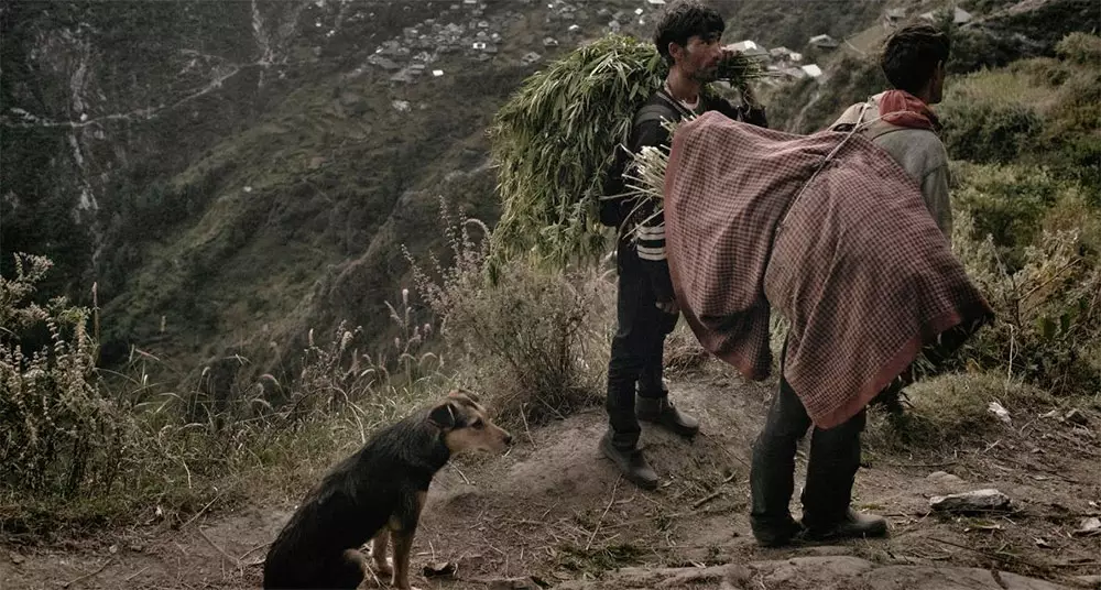 हिमालयका गाउँहरू भेट्नुहोस् जहाँ उनीहरूले भांग खेती गर्छन् 6044_5