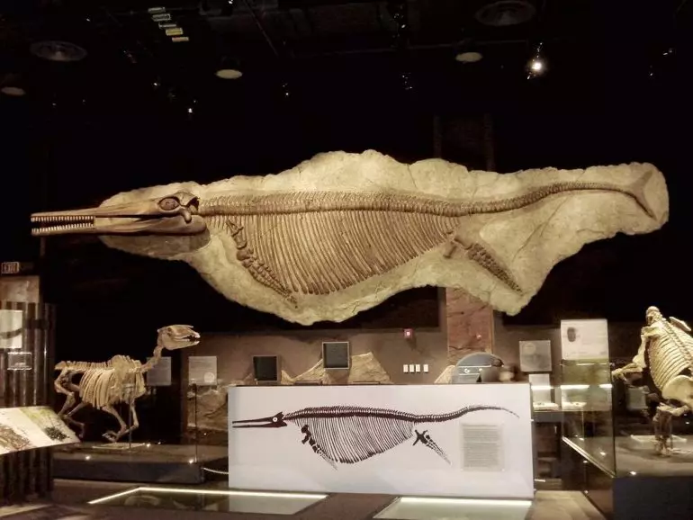 ichthyosaurs स्वित्झर्लंड