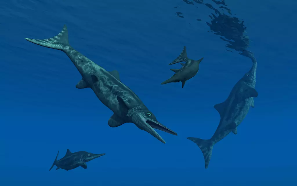 ichthyosaurs Uswisi