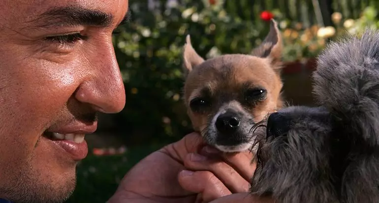 Cesar Millan qhov project