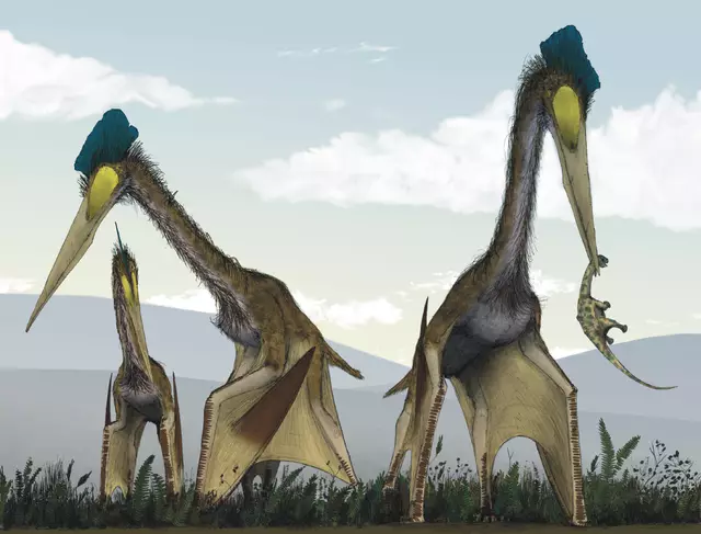 pterosaure