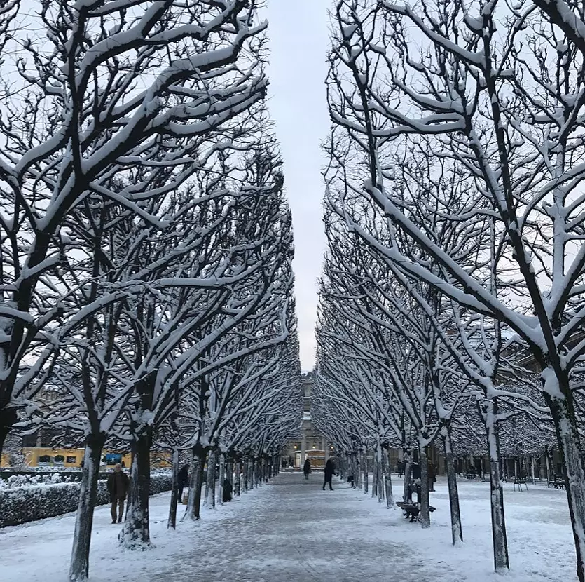 Pariz bilježi najveće snježne padaline u posljednjih 30 godina 6759_4