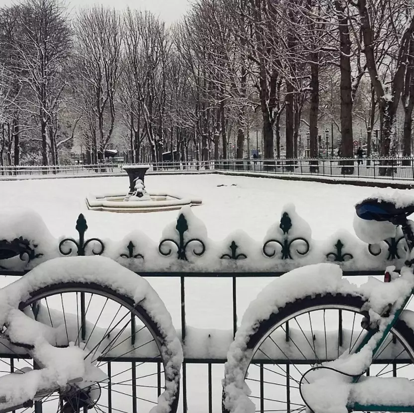 Pariz bilježi najveće snježne padaline u posljednjih 30 godina 6759_9