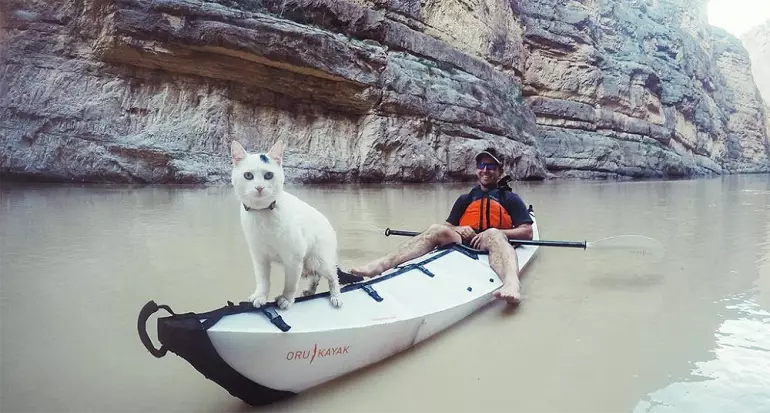 Vi presentiamo il gatto viaggiatore che ha conquistato Instagram