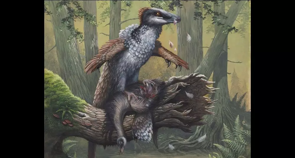 Ar Dakotaraptor tikrai susidūrė su tiranozauru?