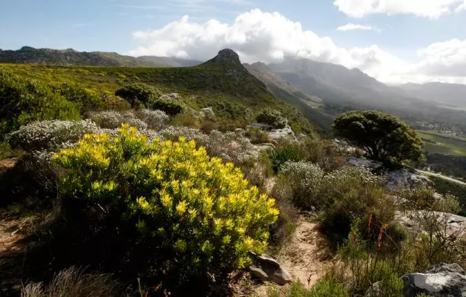 De groussen illegale Maart fir kleng Déieren 6973_3