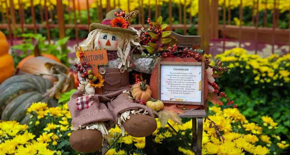 Les flors de tardor del Bellagio d'aquest 2017 7038_10