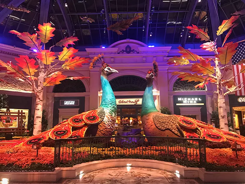 Les flors de tardor del Bellagio d'aquest 2017 7038_2