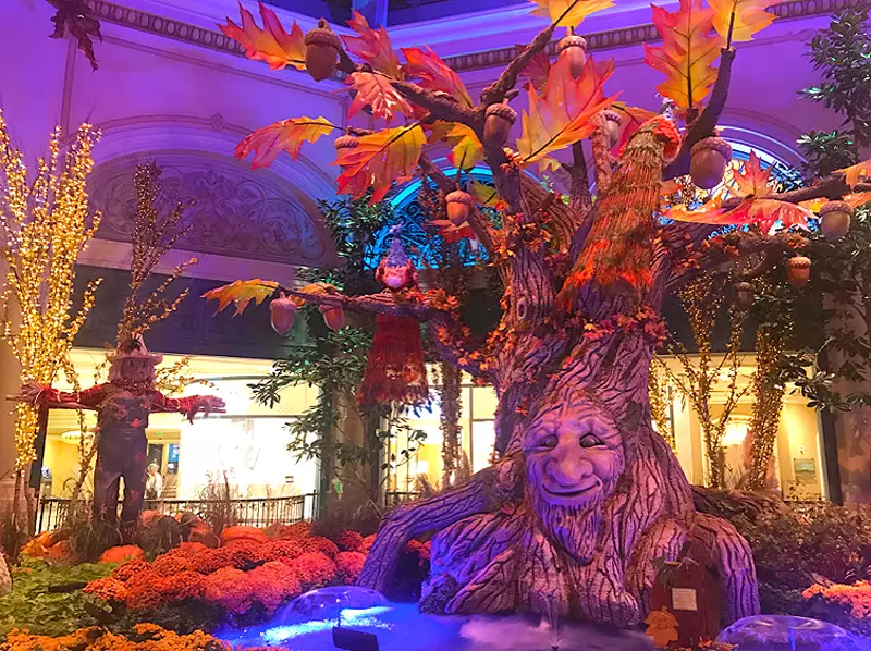 Les flors de tardor del Bellagio d'aquest 2017 7038_4