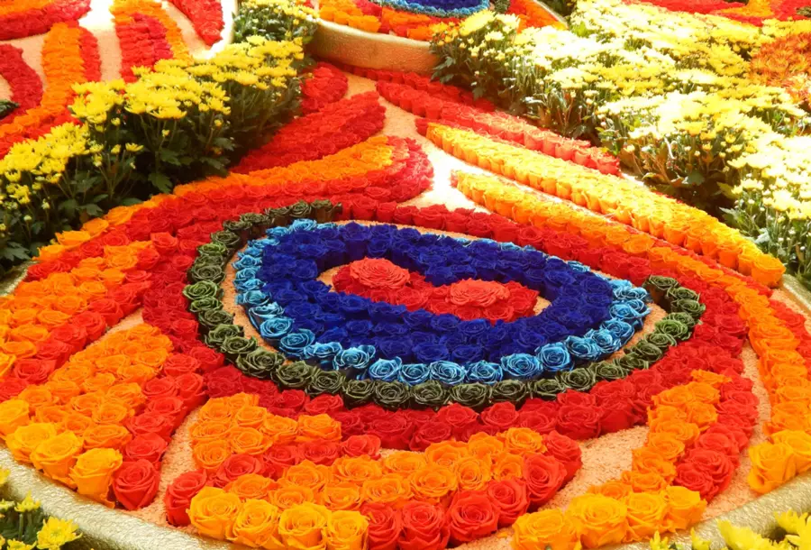 Les flors de tardor del Bellagio d'aquest 2017 7038_6