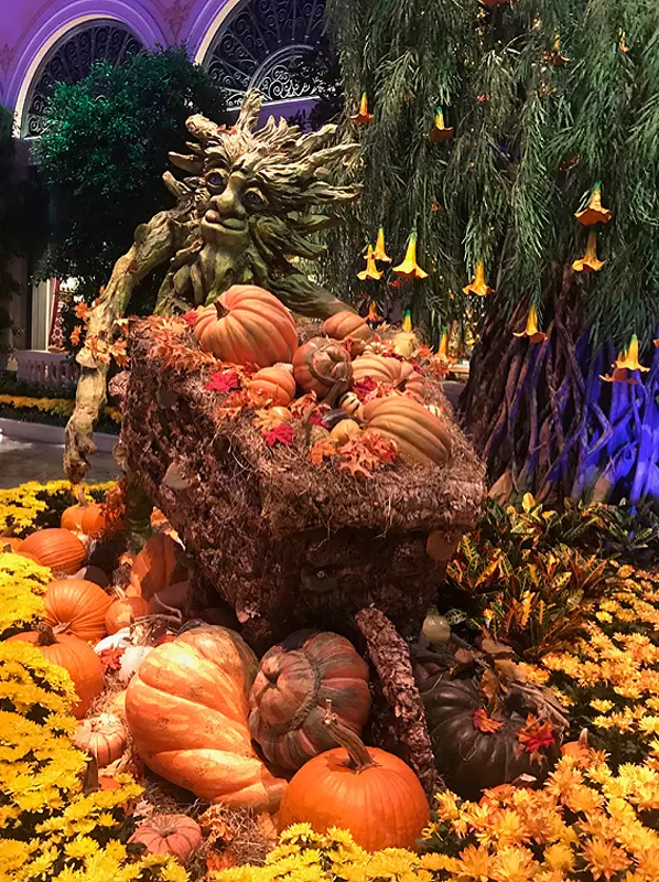 Les flors de tardor del Bellagio d'aquest 2017 7038_9