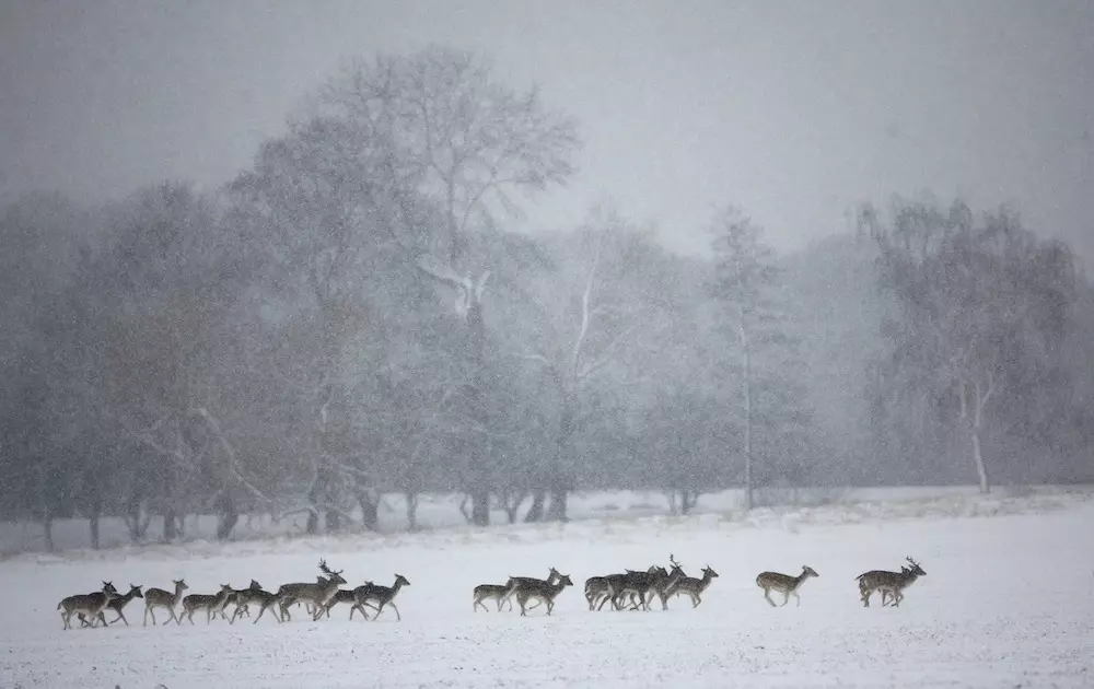 neve nostalgica 706_12