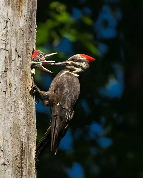 ការចូលចិត្តបំផុតនៅលើ Instagram របស់យើងក្នុងឆ្នាំ 2016 7304_10