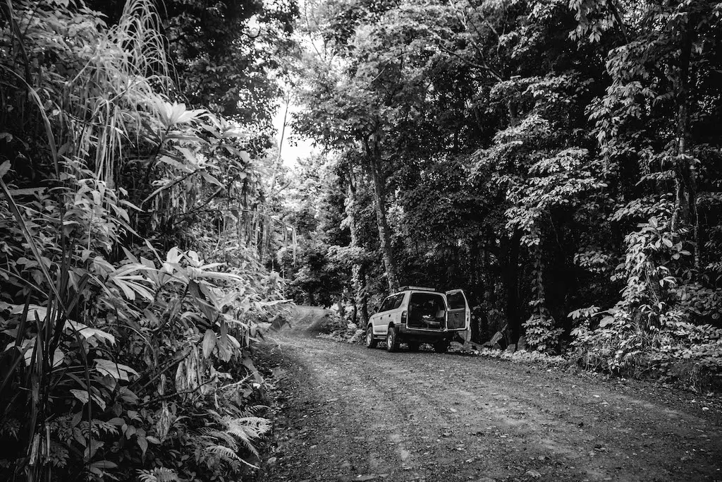 Ingon niini ang kontribusyon sa Alturas Wildlife Sanctuary sa konserbasyon 7306_6