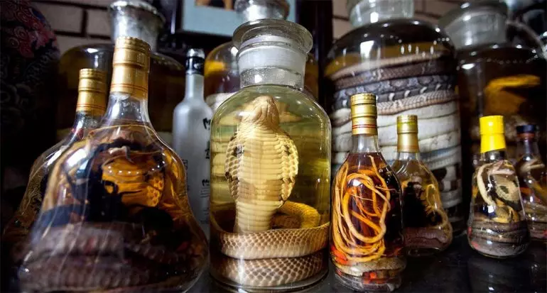 Snake wine and other ?wild memories? what you should avoid