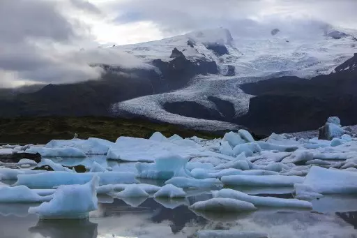 masini kaponi