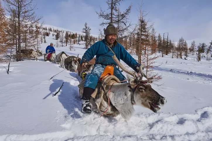 Tsaatan، reindeer-مردن جو خانہ بدوش قبيلو جيڪو غائب ٿيڻ وارو آهي 7402_4