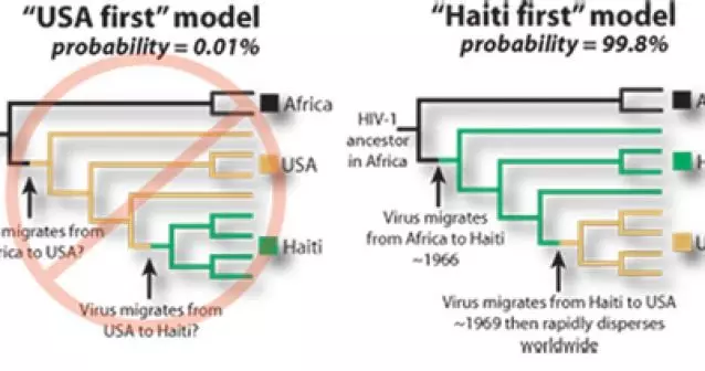 وصل فيروس الإيدز أولاً إلى هايتي ثم إلى الولايات المتحدة.