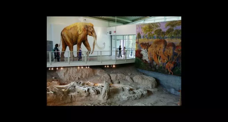 Teksas hestiyên mammoth li cihê ku lê hatine keşifkirin nîşan dide