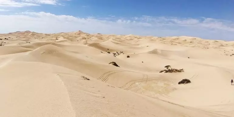 sanddynerna i Samalayuca Chihuahua Mexiko