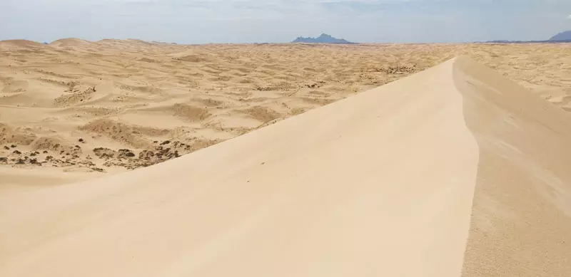 dunoj de Samalayuca Chihuahua