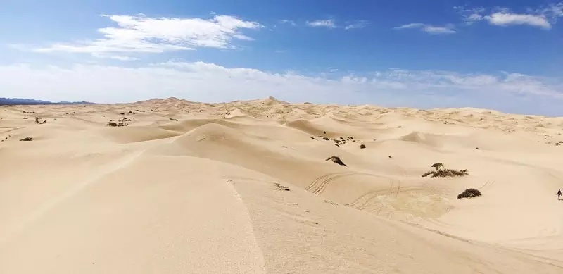 Dünen von Samalayuca Chihuahua